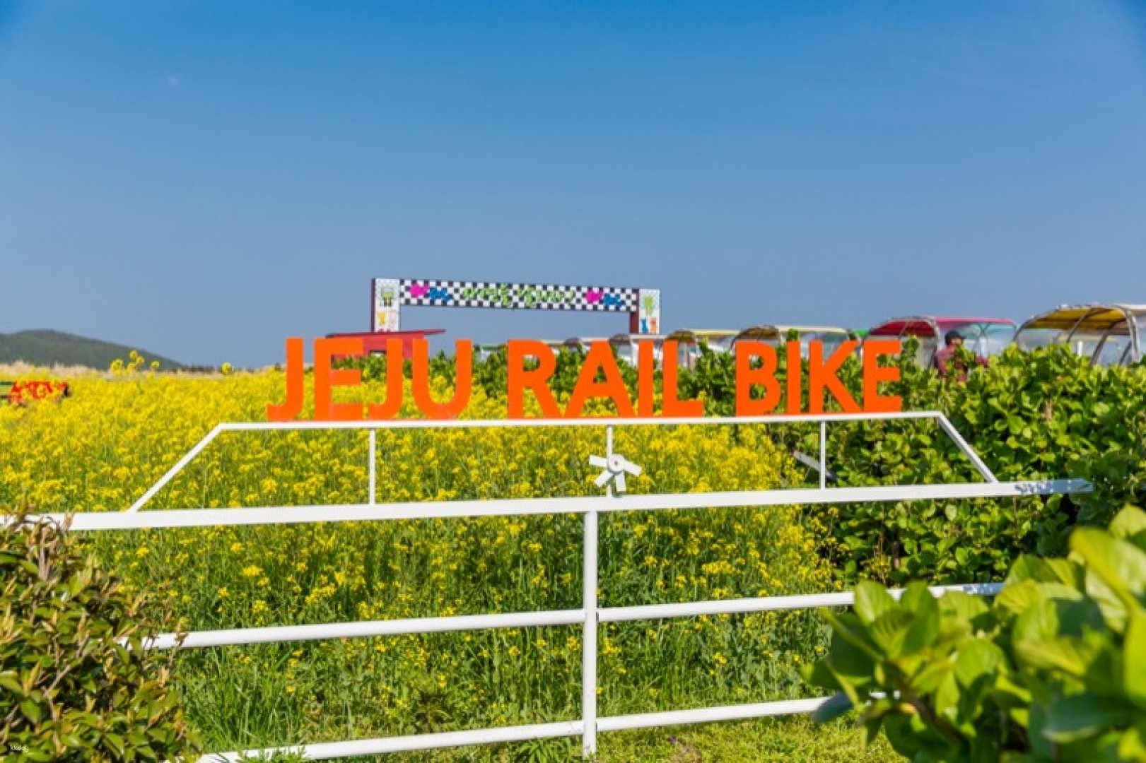 Jeju Rail Bike Pass | South Korea in Jeju | Pelago